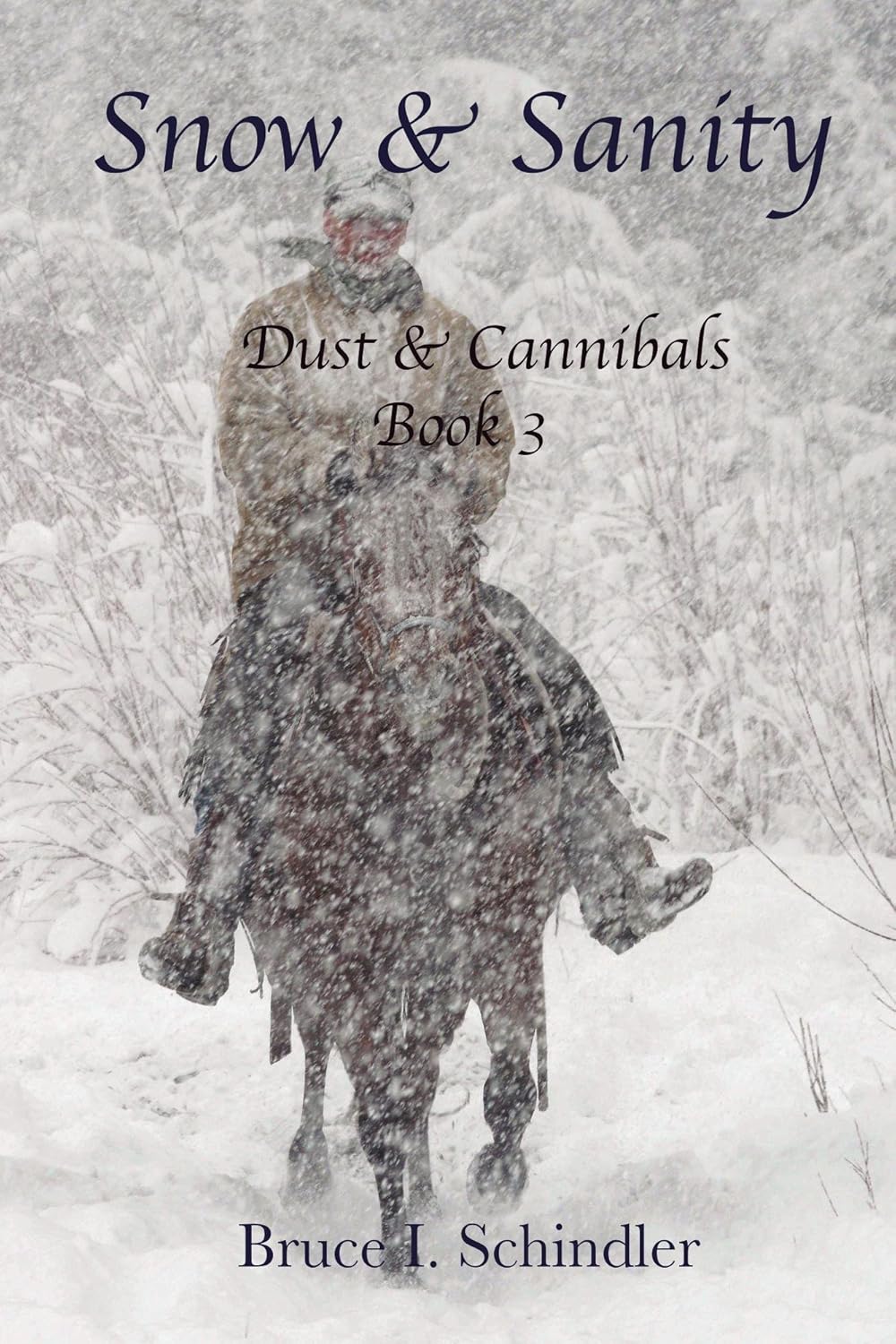 Snow & Sanity (Dust & Cannibals Book 3) - Kindle edition by Schindler ...