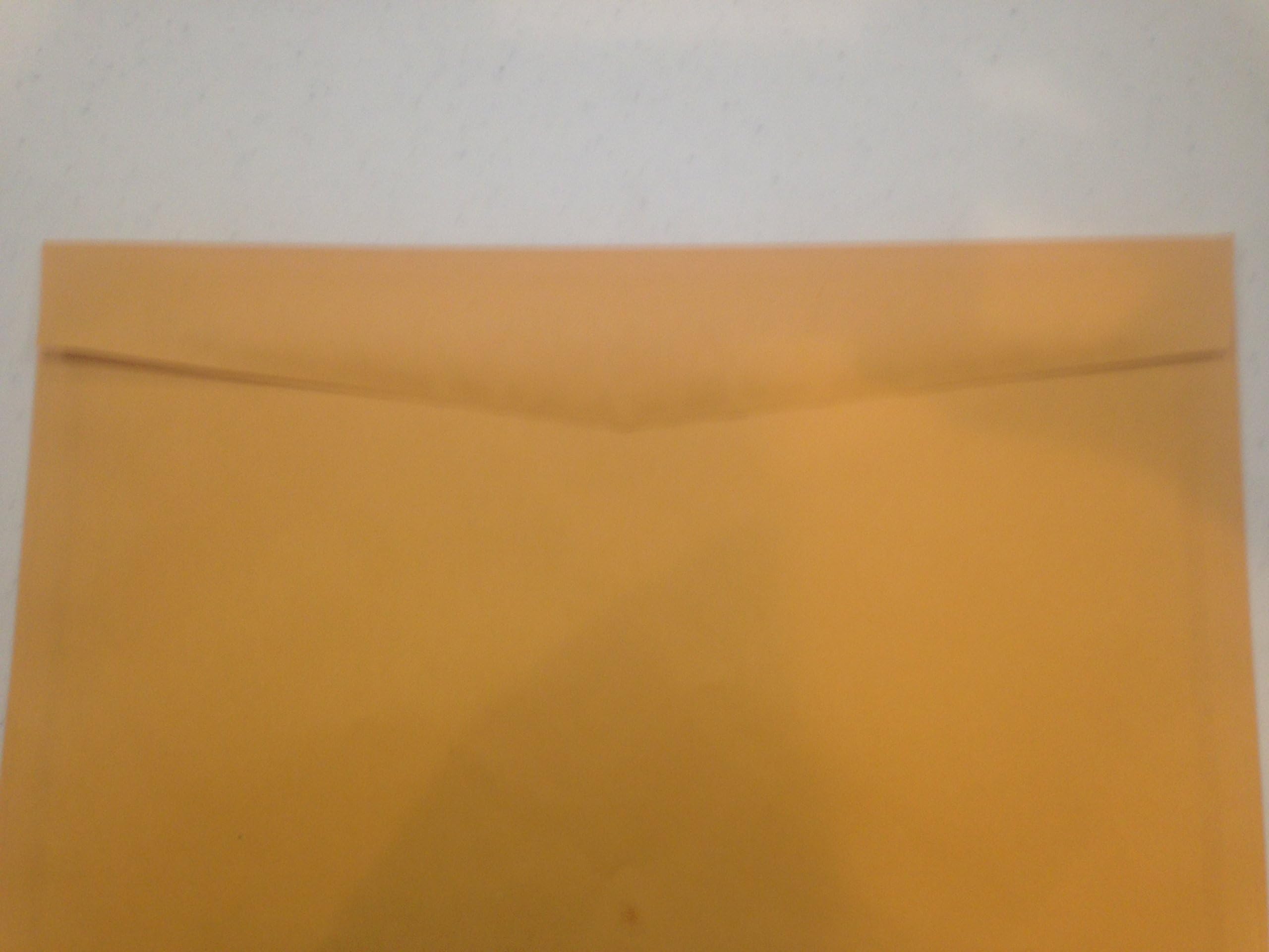 Amazon.com : ALL-STATE LEGAL Document Envelope, File Envelope, Document ...