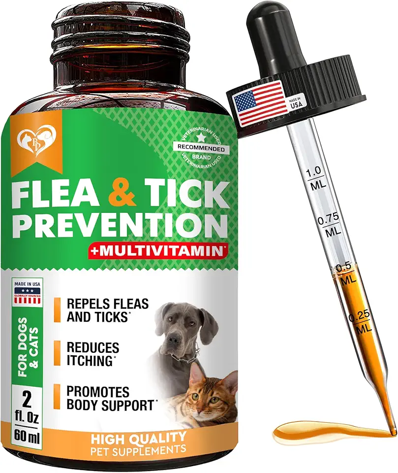 Understanding Tick Bites On Cats: Common Symptoms And Treatment Options ...