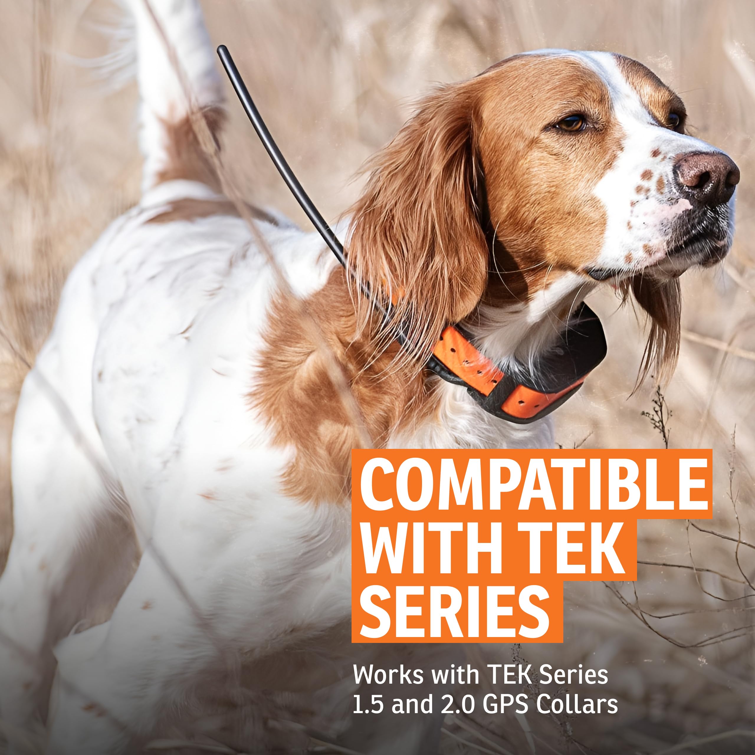 Snapklik.com : SportDOG TEK Series 1.5 & 2.0 Collar Charge Cradle ...