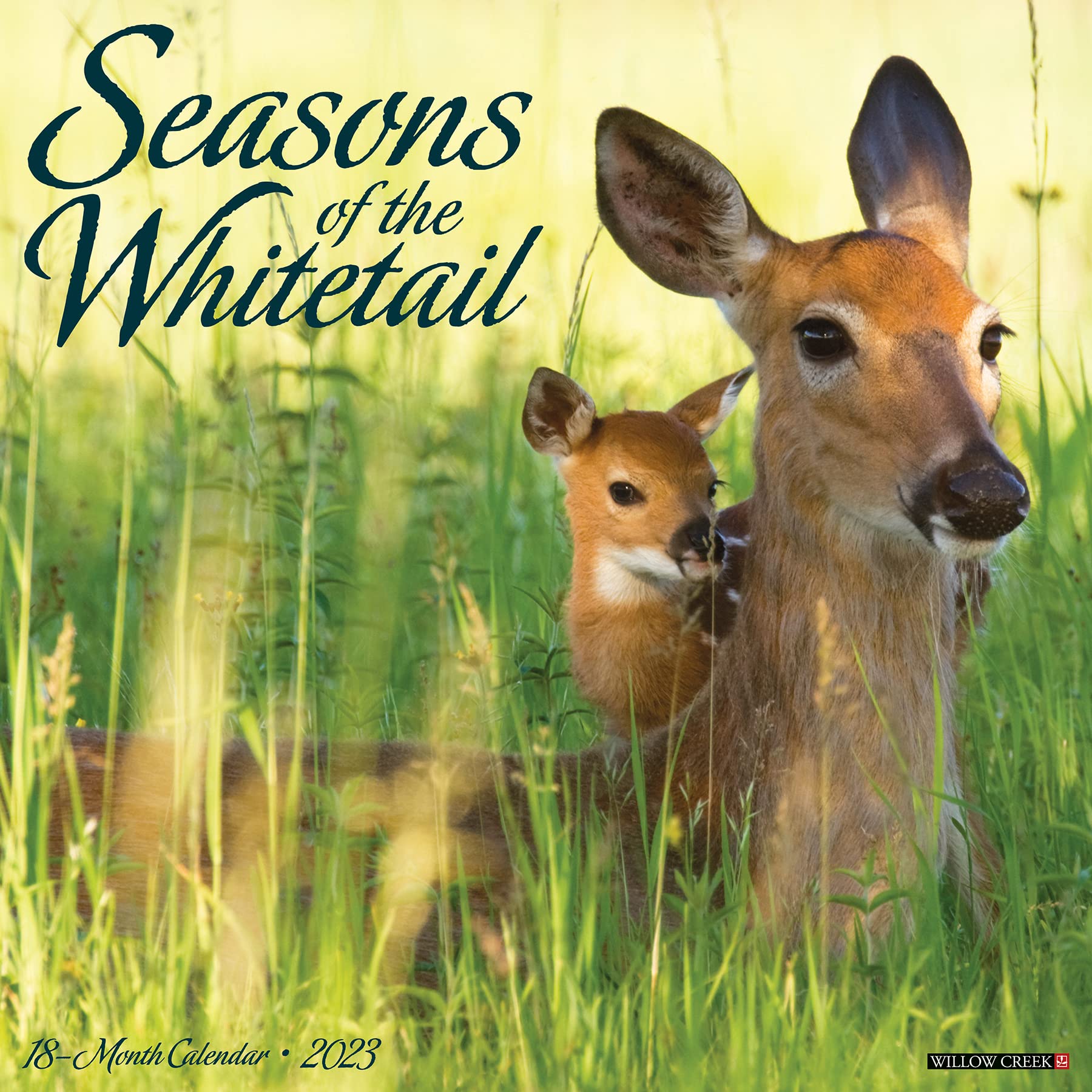 Amazon.com: Seasons of the Whitetail 2023 Wall Calendar: 9781549227592 ...