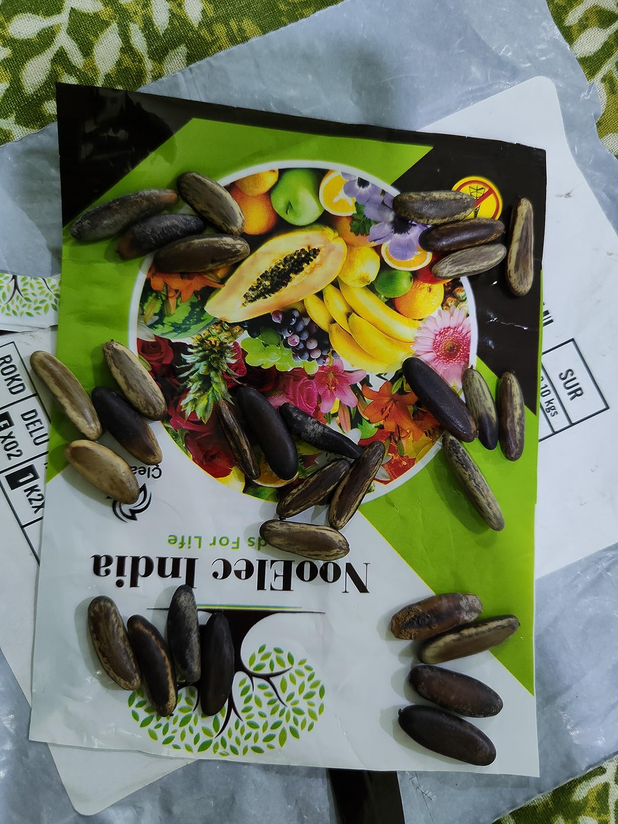 All Seasons Climbing Dwarf Red Jade Vine Flower Seeds - 35+ Seeds Pack ...