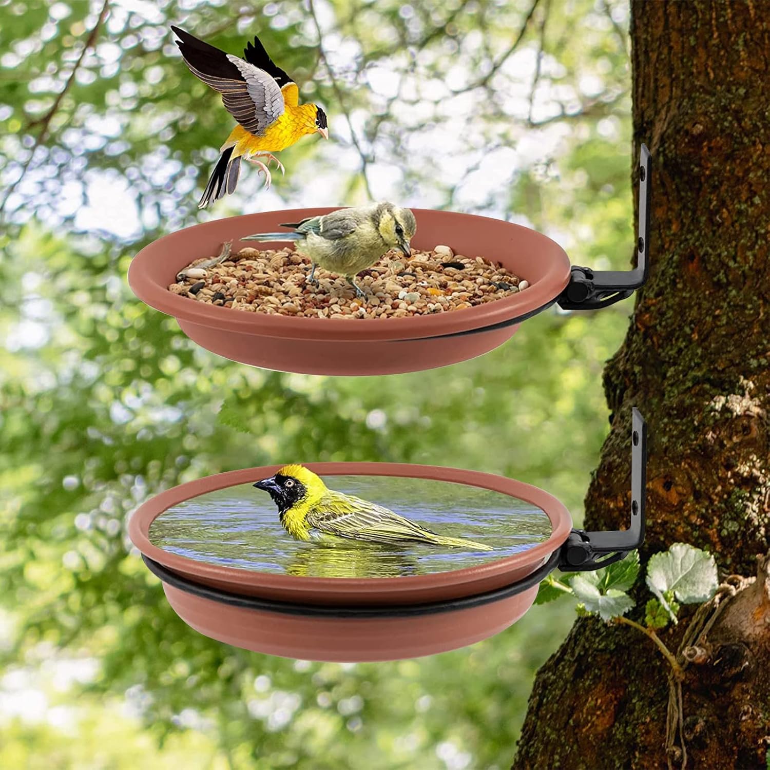 Abreuvoir Oiseaux,2 PièCes Mangeoire pour Oiseaux Exterieur Et Bain d ...