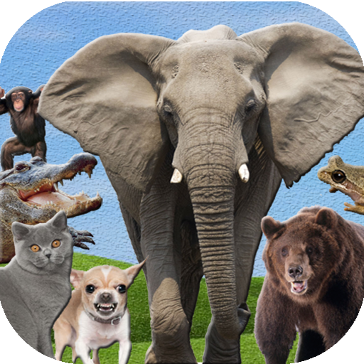 Alphabet Zoo Sounds (Full) - App on Amazon Appstore