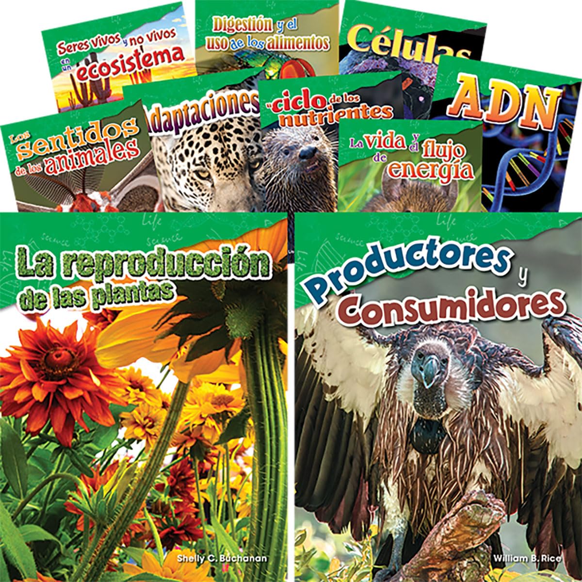 Amazon.com: Let's Explore Life Science Grades 4-5 Spanish, 10-Book Set ...