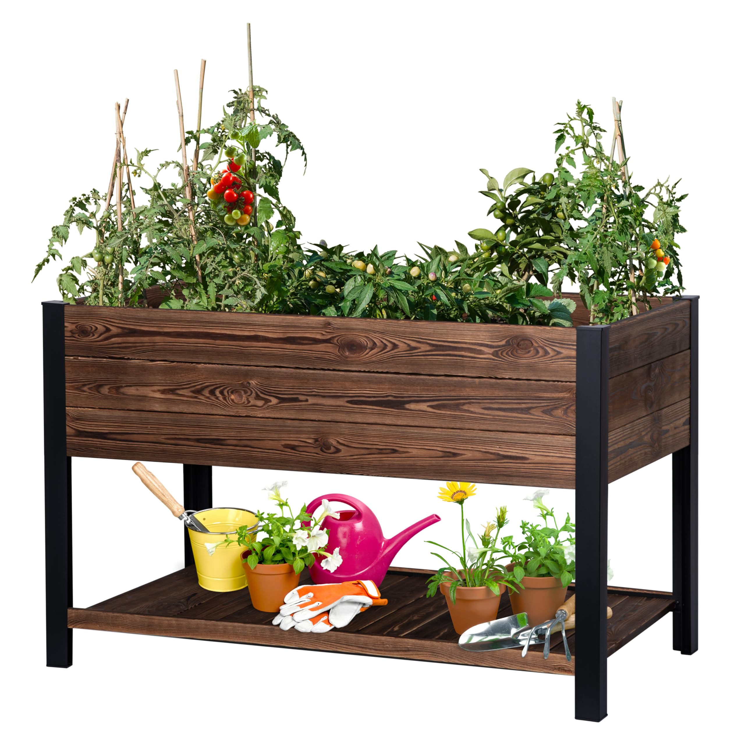 Amazon.com: Phoenix Vine Raised Garden Bed Planter Box with Shelf, (48 ...