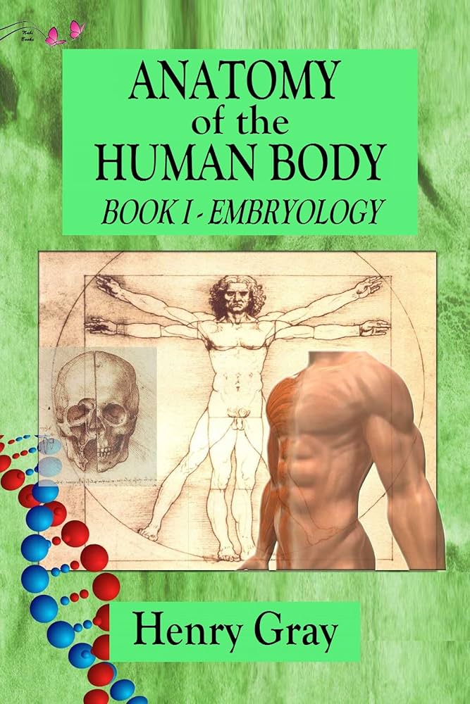 Henry Gray Anatomy Of The Human Body