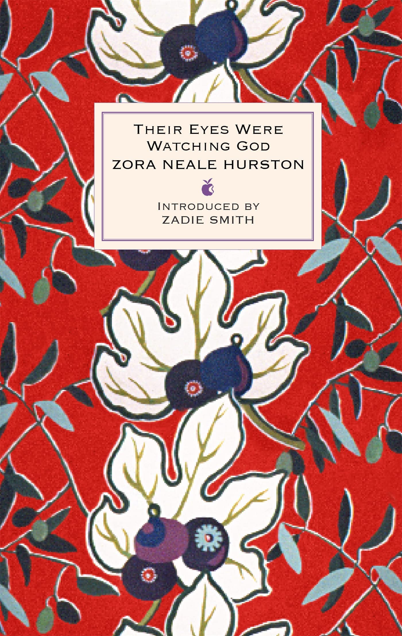 Their Eyes Were Watching God: Zora Neale Hurston: 9781844085286: Amazon ...