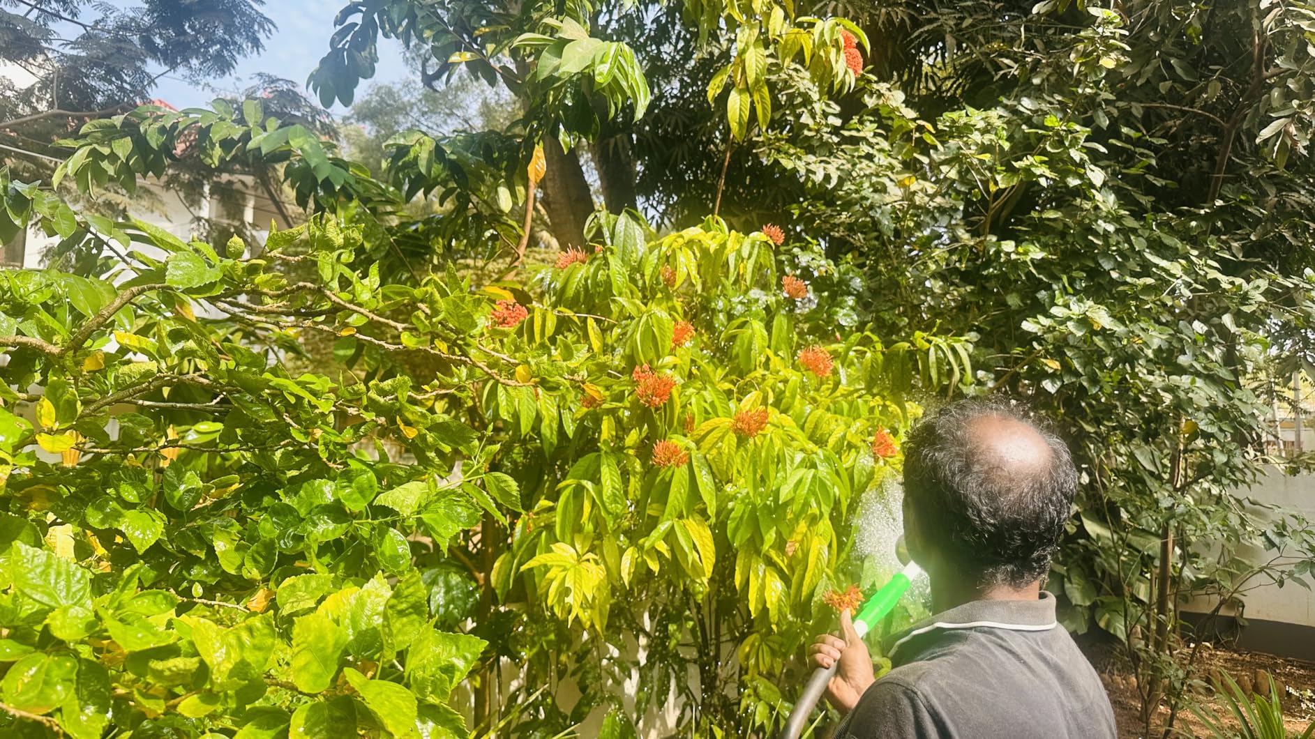 Supekar Regular Garden Shower : Amazon.in: Garden & Outdoors