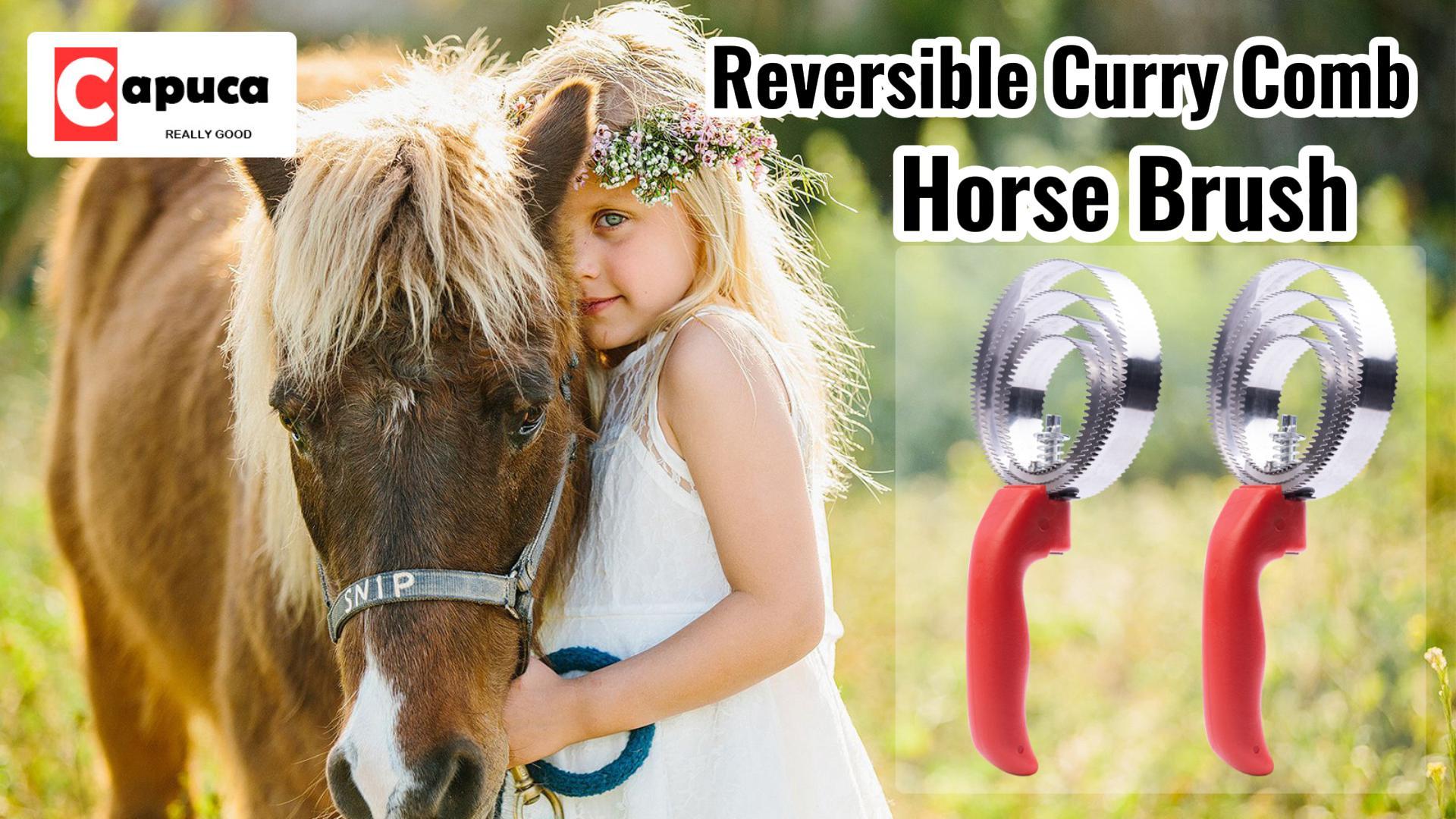 Watch Reversible Curry Comb Horse Brush on Amazon Live