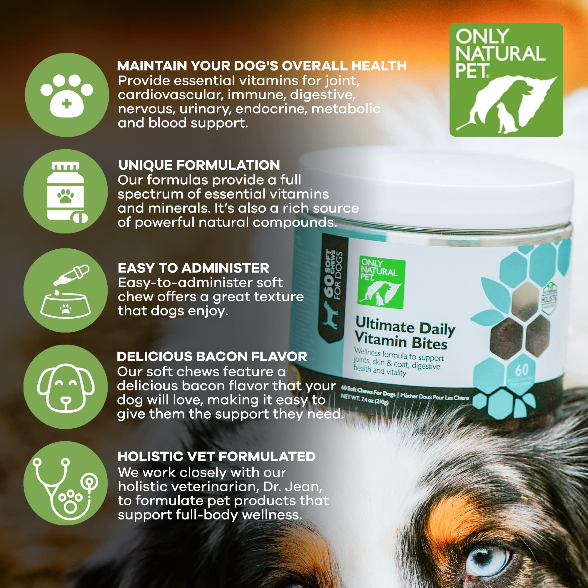 Should I Be Giving My Dog Vitamins