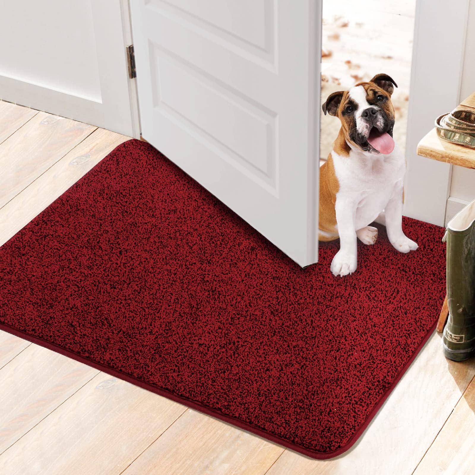 Amazon.com: LINLA Indoor Doormat, Super Absorbs Mud Mat, Washable Non ...