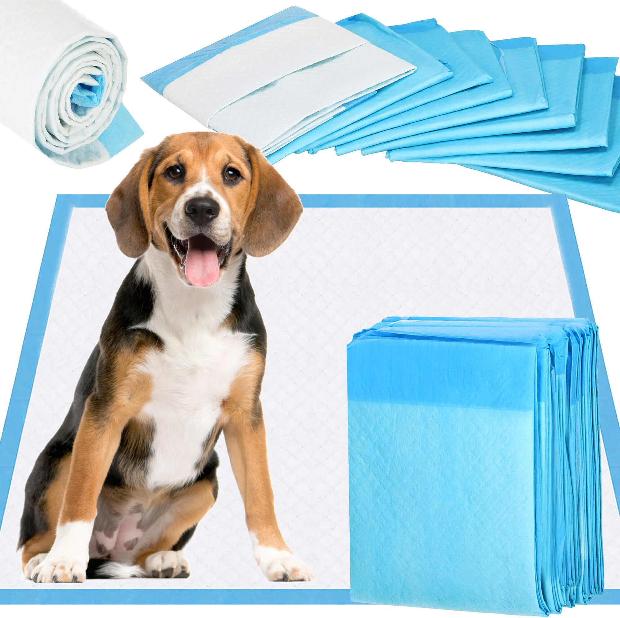 Pack de 14 alèses de propreté 60 x 60 cm pour chiots : Amazon.fr ...
