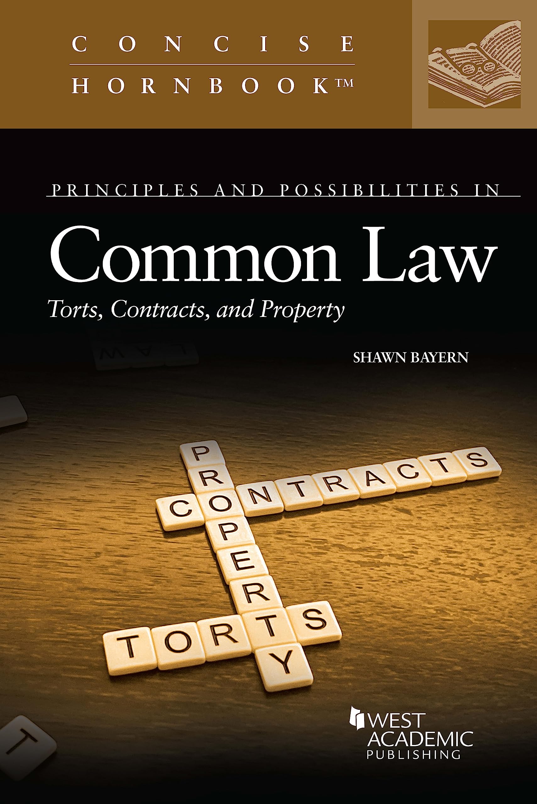 Amazon.com: Principles and Possibilities in Common Law: Torts ...