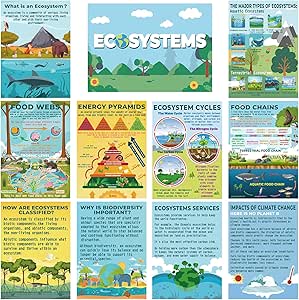 Amazon.com : Pasimy 11 Pcs Science Posters for Classroom Ecosystems ...