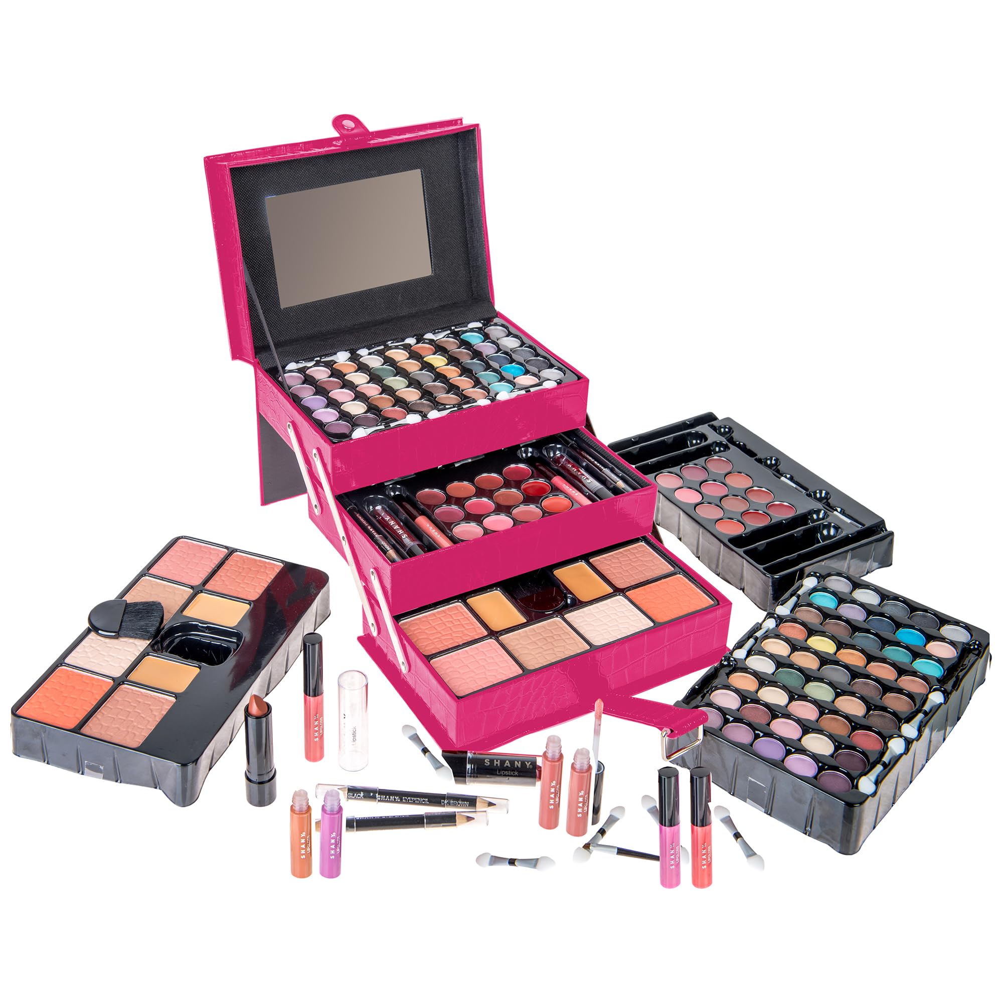 Amazon.com : SHANY All In One Makeup Kit (Eyeshadow, Blushes, Face ...