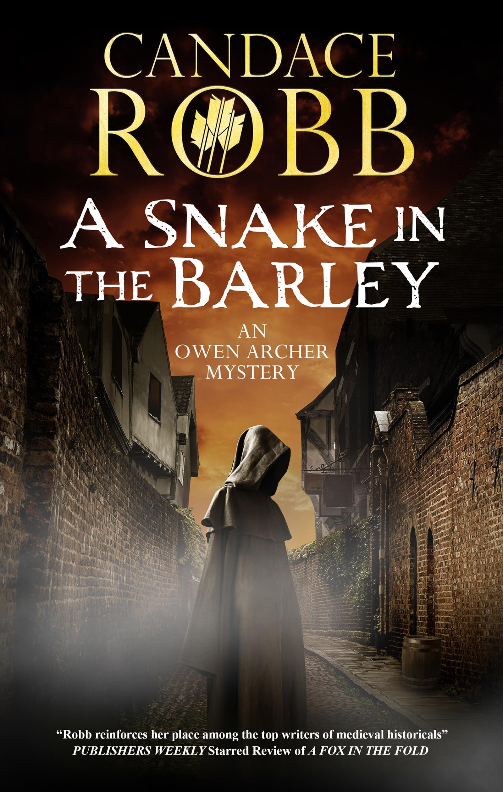 Amazon.com: A Snake in the Barley (An Owen Archer mystery, 15 ...
