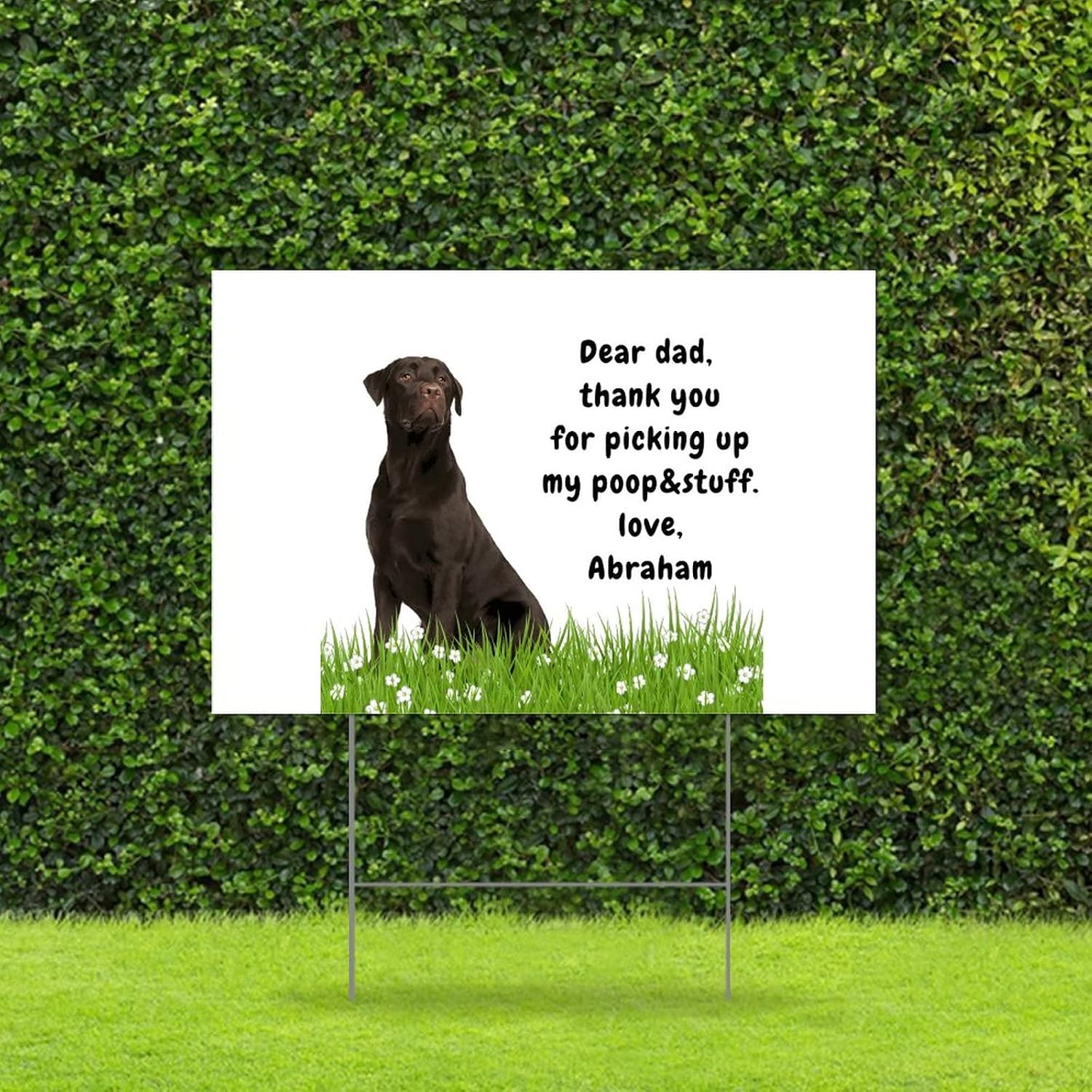 Amazon.com : Dear Dad Thank You for Picking Up My Poop & Stuff Lawn ...