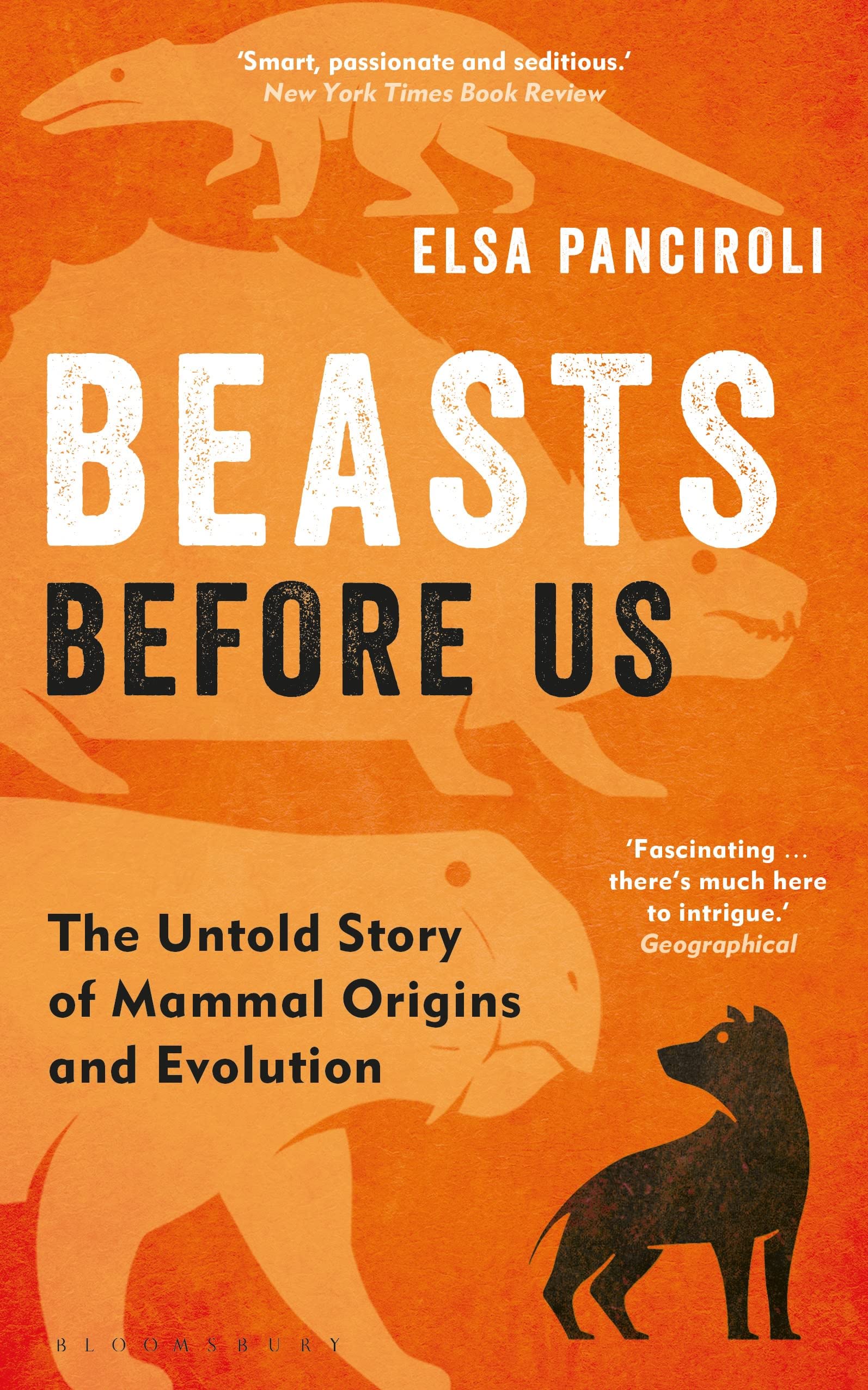 Beasts Before Us: The Untold Story of Mammal Origins and Evolution ...