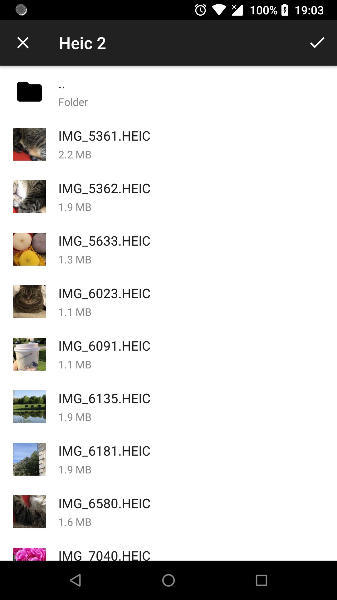 Luma: HEIF (*.heic) Viewer and Converter - App on Amazon Appstore