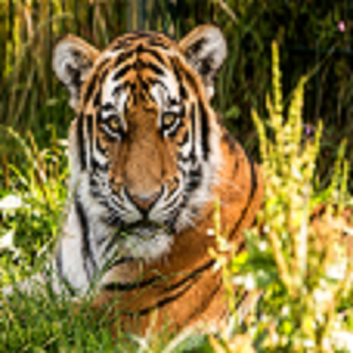 Animal soundboard - Aplicativo na Amazon Appstore