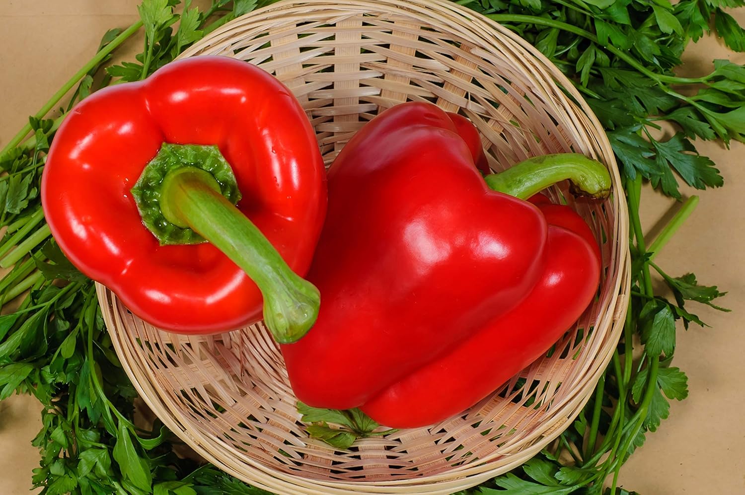 Kraft Seeds Vegetable Capsicum Seeds For Home Garden 1 Packet 10 kraft-seeds-vegetable-capsicum-seeds-for-home-garden-1-packet-10