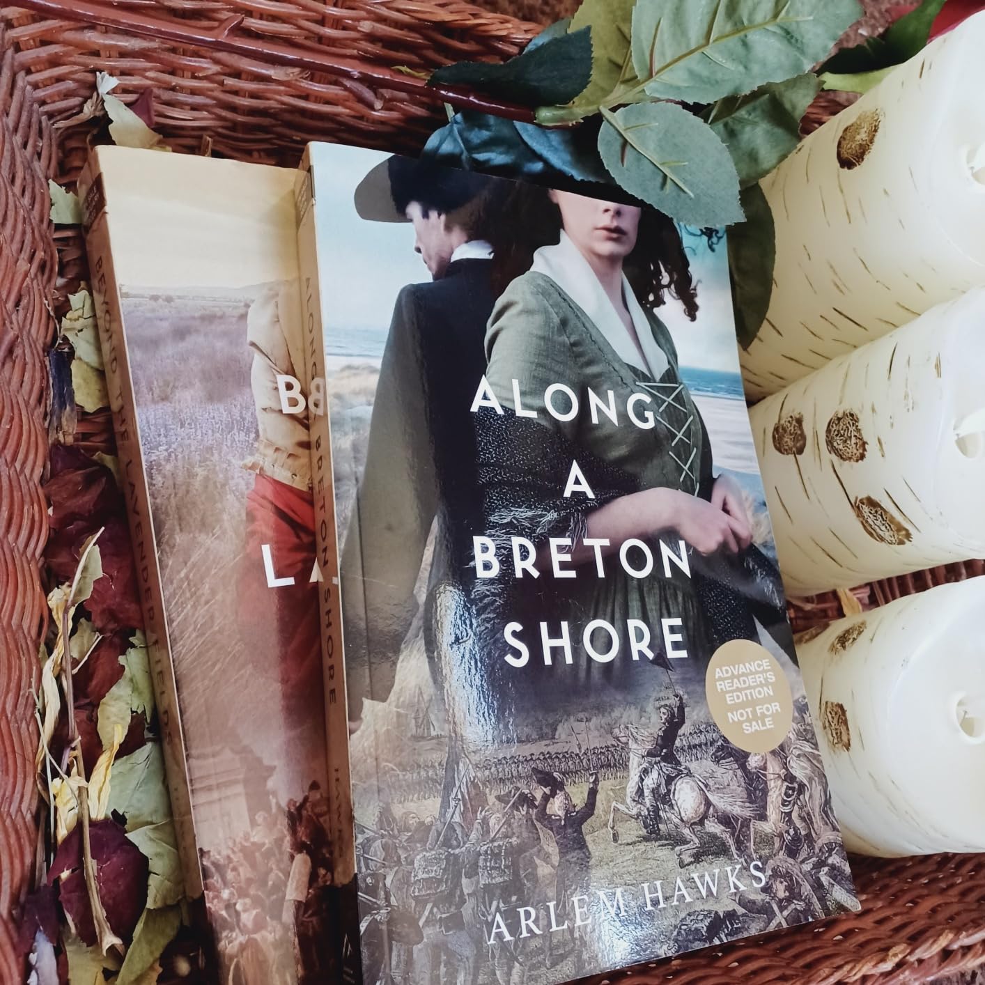 Along a Breton Shore | Historical Fiction Novel - French Revolution ...