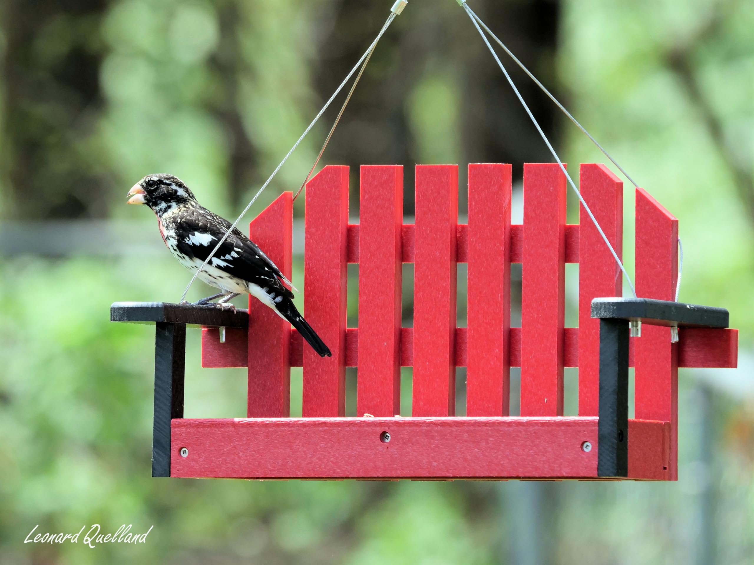 Snapklik.com : AmishToyBox Porch Swing Bird Feeder, Eco-Friendly Poly ...