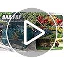 Amazon.com : ANC POP Pop Up Mesh Plant Cover, Plant Protector for ...