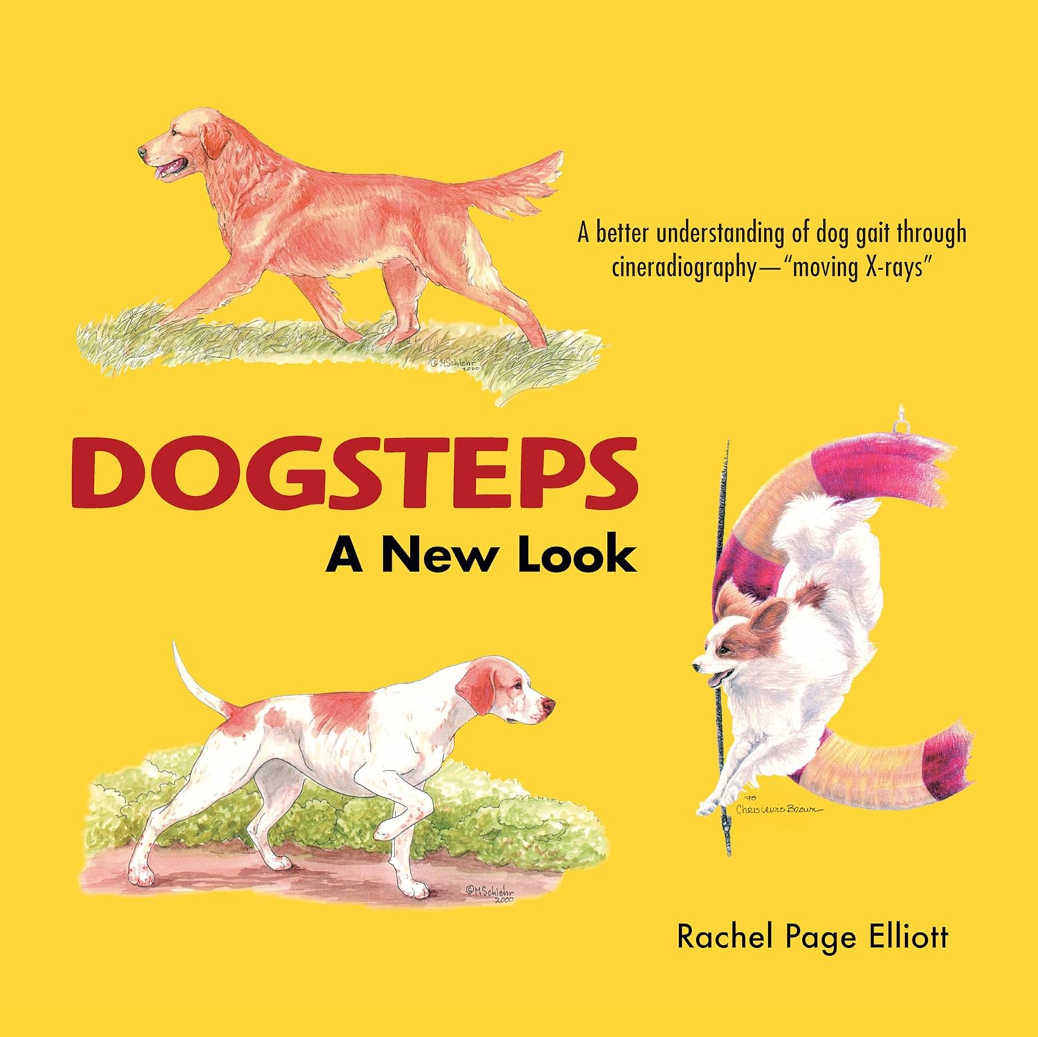 Dogsteps: A New Look, 3rd Edition (CompanionHouse Books) Definitive ...