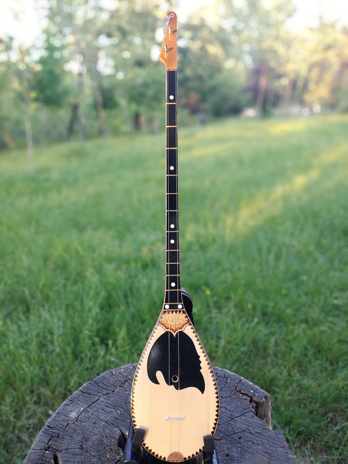 Amazon.com: Cifteli Qifteli Çifteli C-note. Albania - Kosova Folk ...