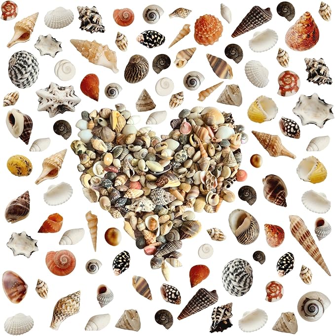 Avalon 400 pcs Tiny Mixed Sea Shells 20-25 Styles Ocean Spiral ...