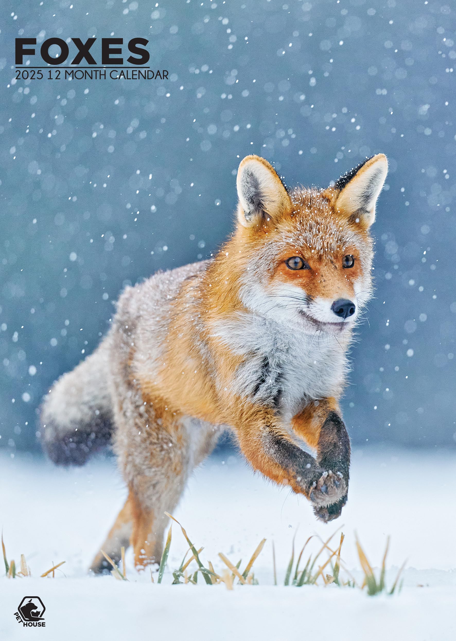 Foxes 2025 - A3 Size Wirobound Calendar : Amazon.co.uk: Stationery & Office Supplies