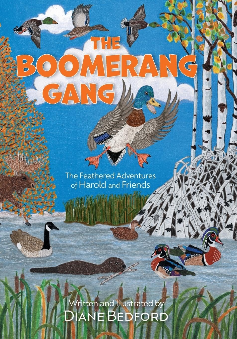 Amazon.com: The Boomerang Gang: The Feathered Adventures of Harold and ...