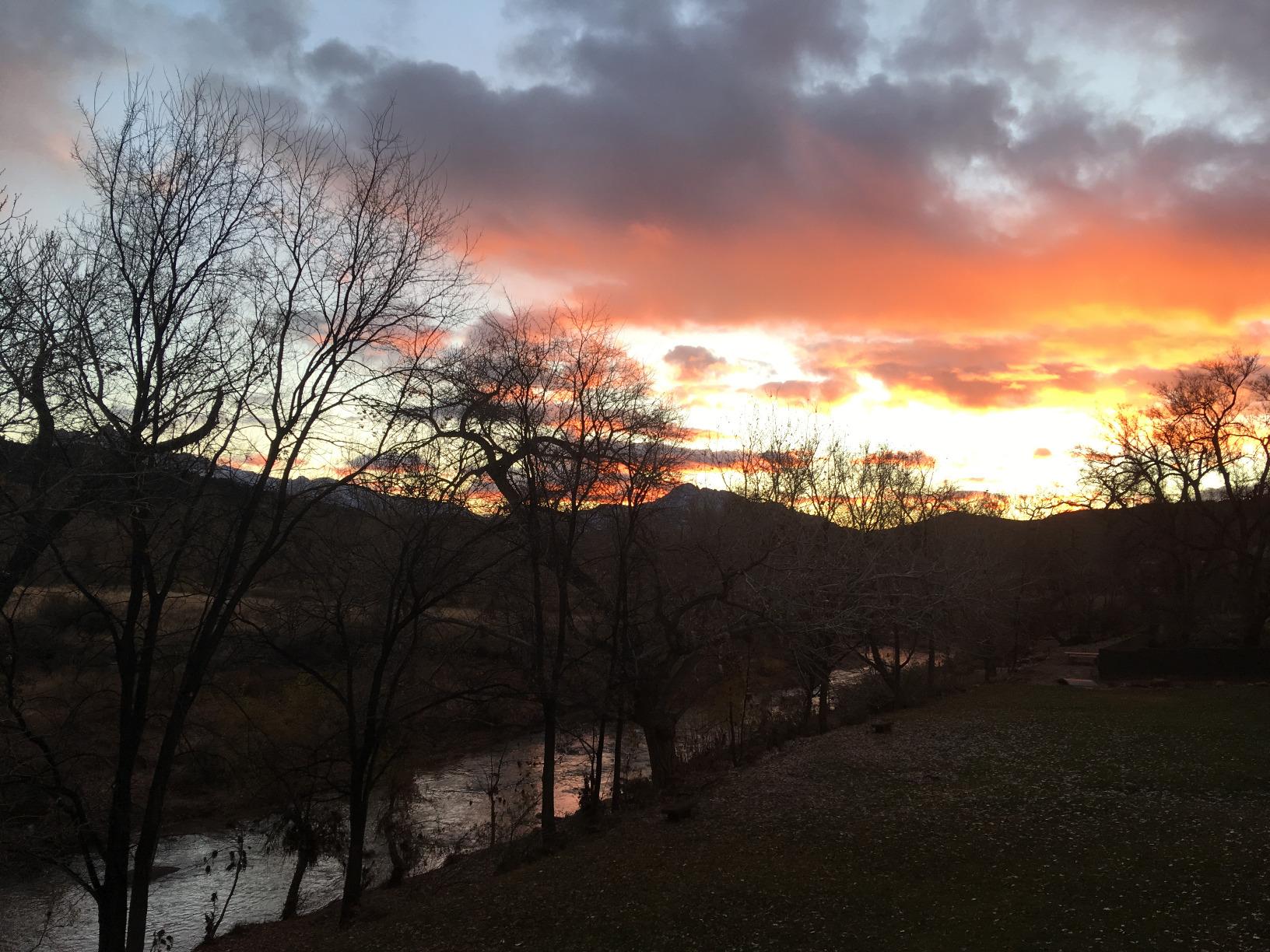 Michelle Bloom & Co. - Big Backyard - Amazon.com Music