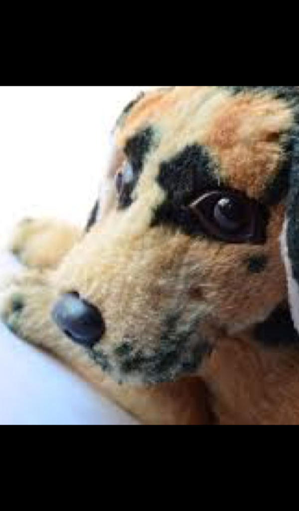 sad dog Wallpaper -- HD Wallpapers of sad dogs! - App on Amazon Appstore