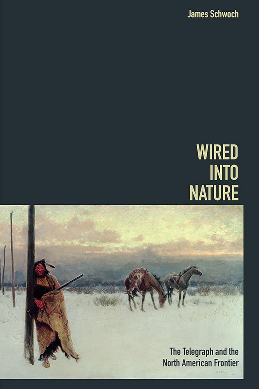 Amazon.com: Wired into Nature: The Telegraph and the North American ...