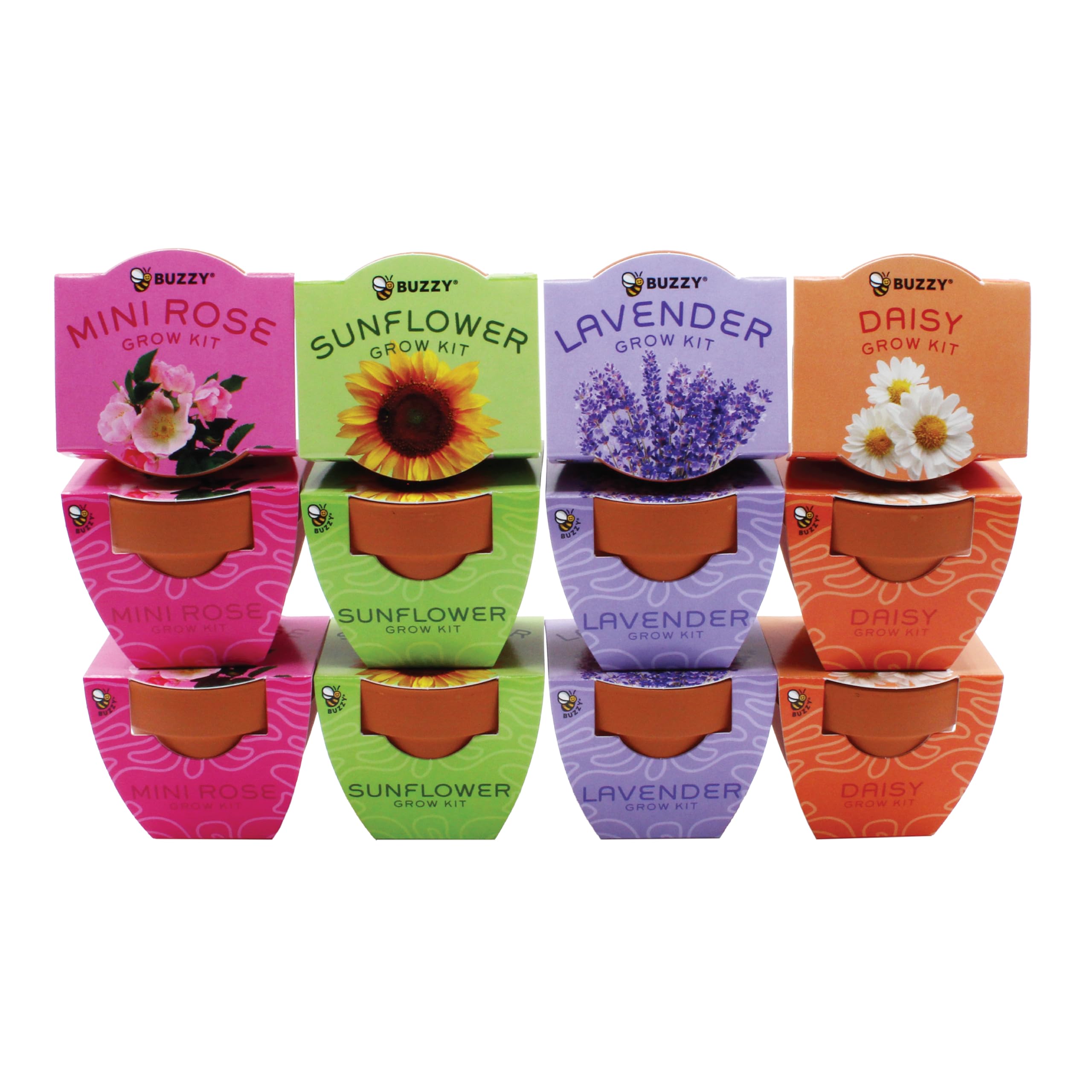 Snapklik.com : Seeds Terracotta Mini Grow Pots Herb, Plant, Flower ...