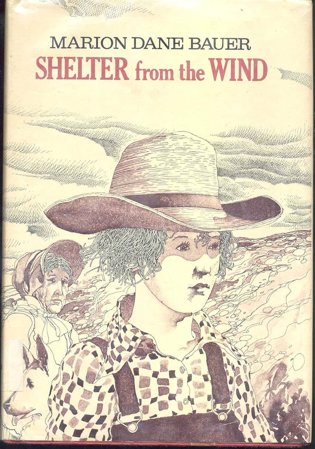 Shelter from the wind: Bauer, Marion Dane: 9780816431601: Amazon.com: Books