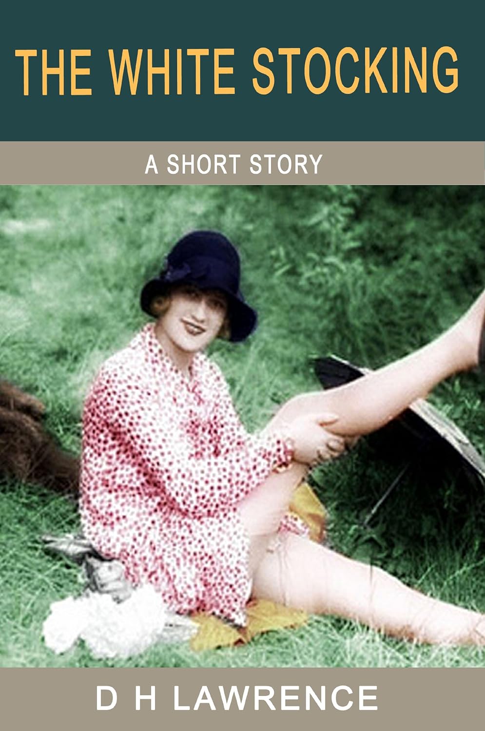 The White Stocking Illustrated The Short Stories Of D H Lawrence