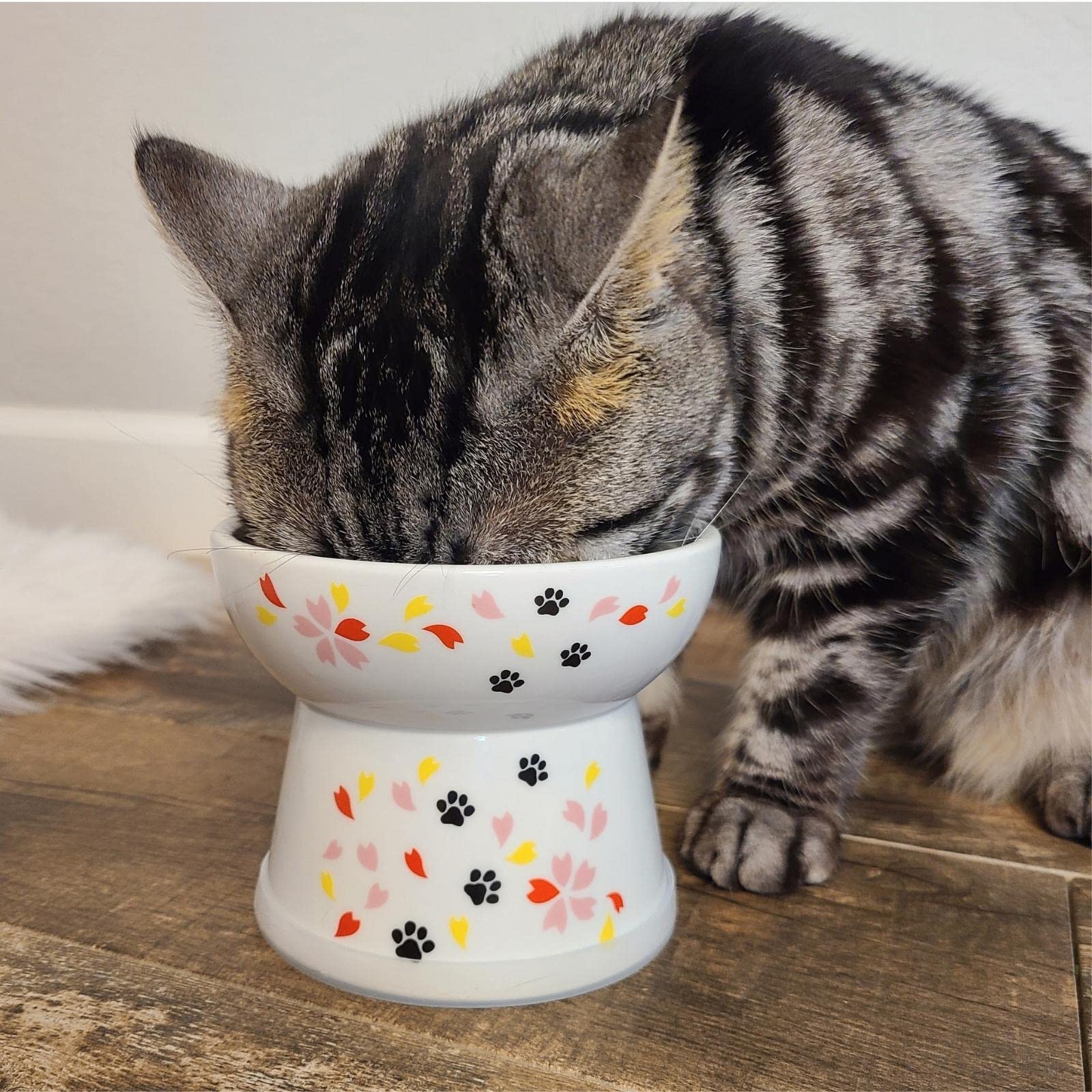 Snapklik.com : Necoichi Raised Cat Food Bowl Ceramic Elevated Cat Bowl ...
