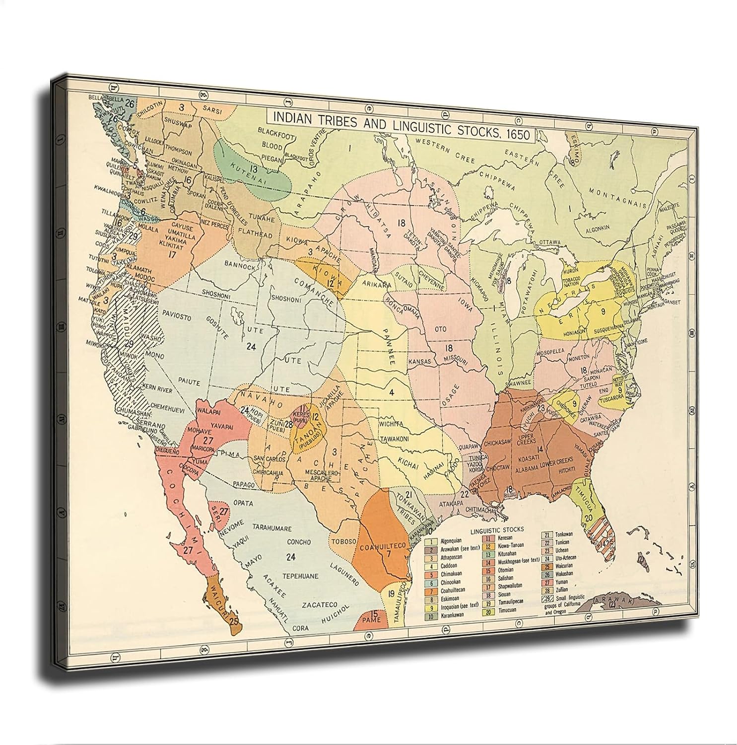 Amazon.com: US Map of Native American Indian Tribes & Linguistic Stocks ...