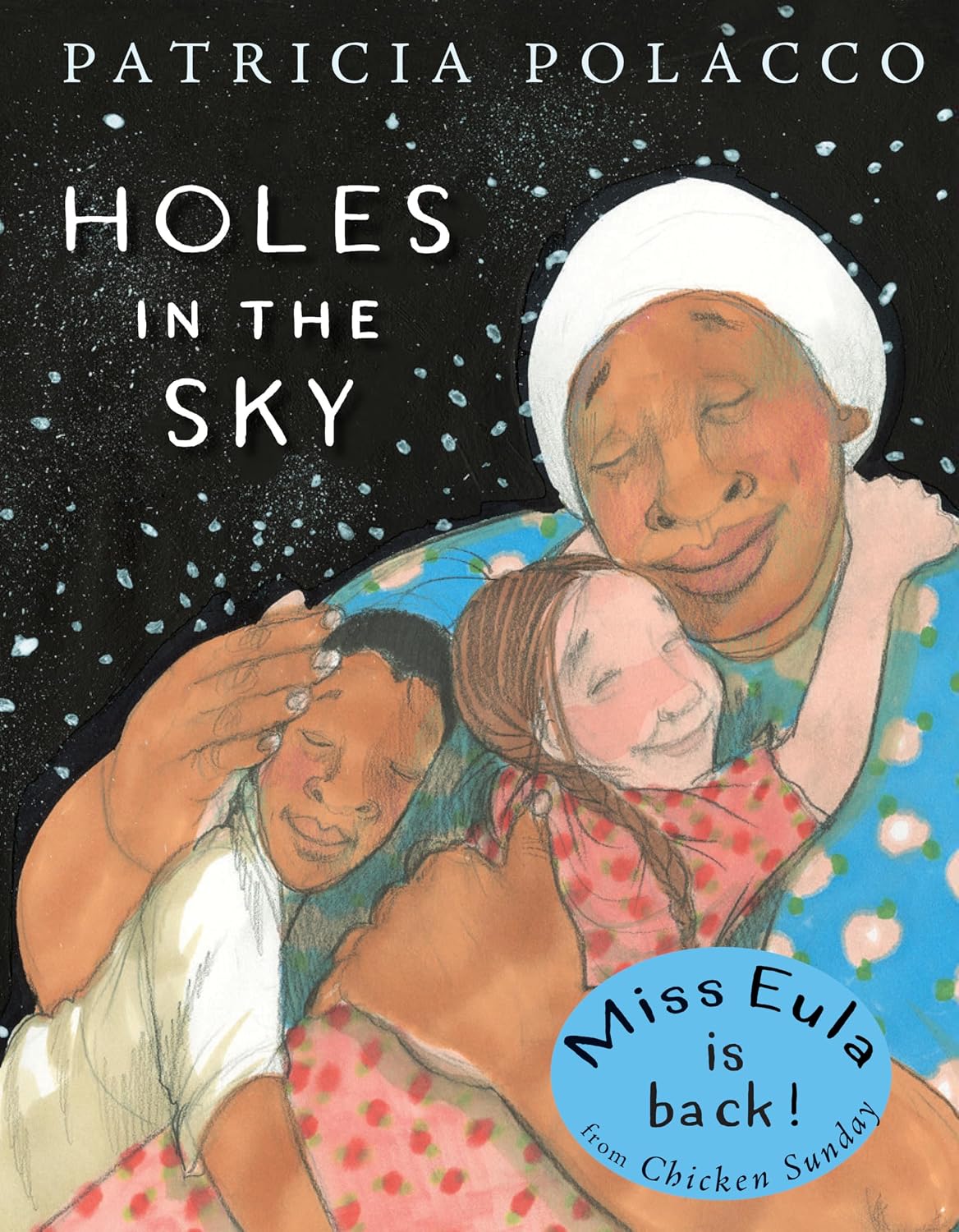 Holes in the Sky: Polacco, Patricia, Polacco, Patricia: 9781524739485 ...