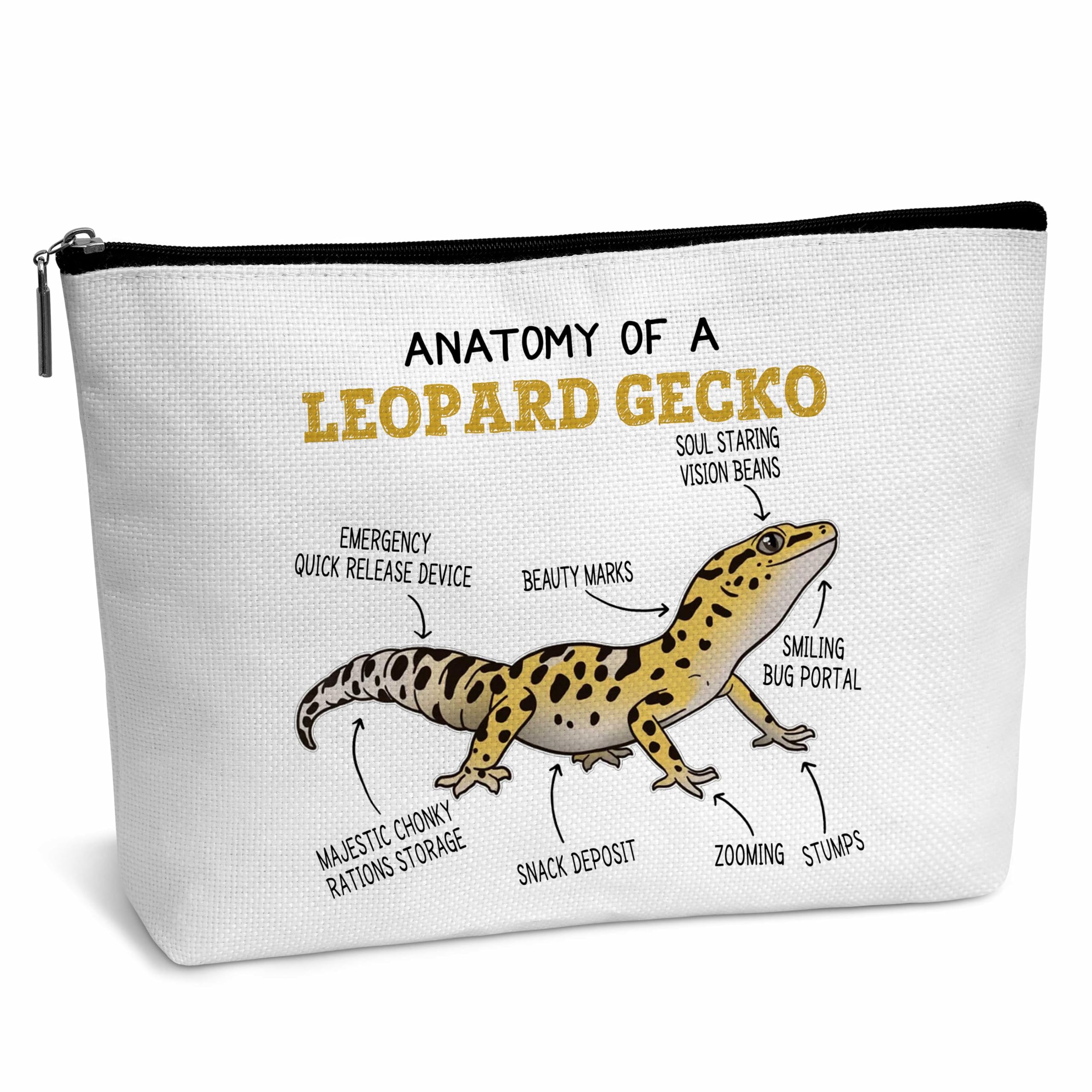 Leopard Gecko Anatomy