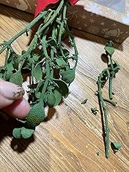 Amazon.com: Real Mistletoe Preserved : Home & Kitchen
