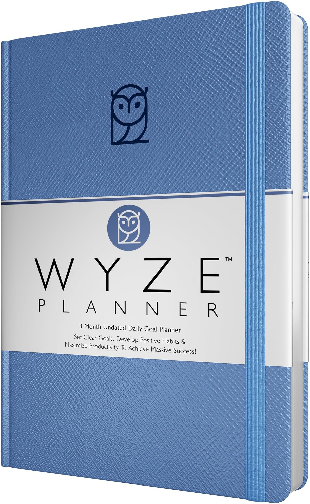 Amazon.com : AT-A-GLANCE Day Runner Day Planner, Windsor QuickView ...