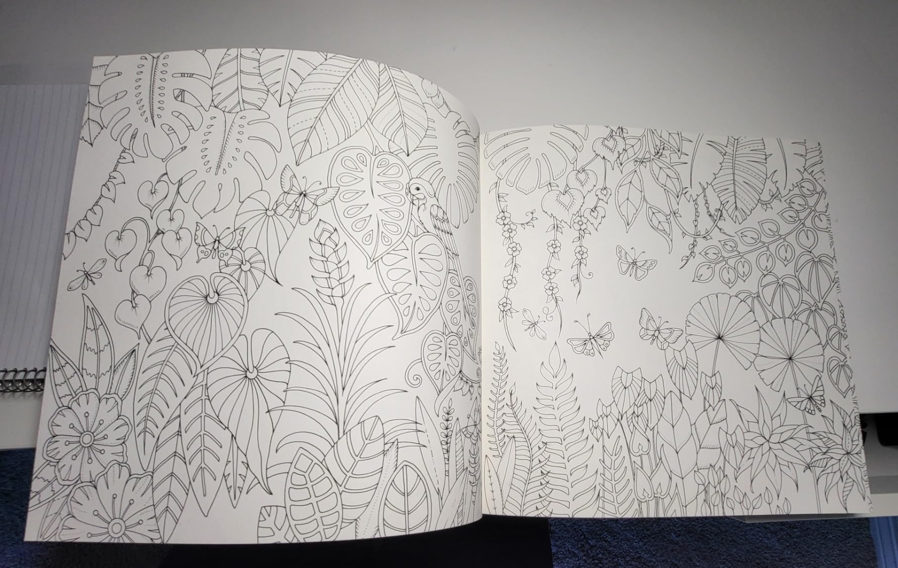 $2/mo - Finance Magical Jungle: An Inky Expedition and Coloring Book ...