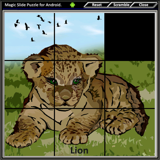Magic Slide Puzzle - Wild Animals 1 - App on Amazon Appstore