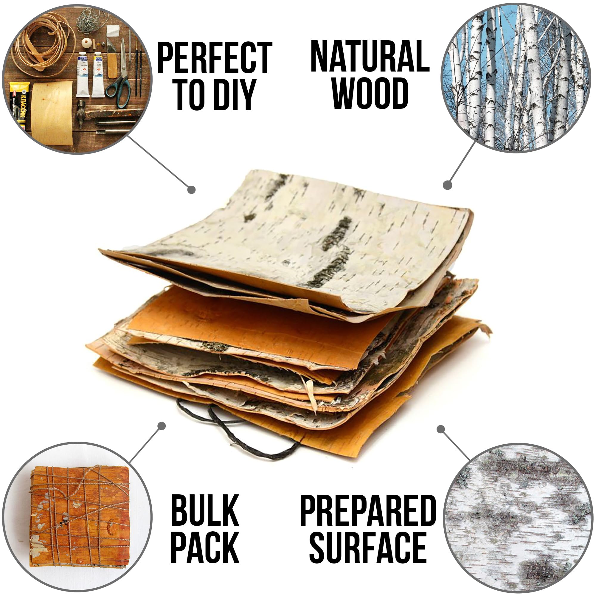 Making Birch Bark Frames