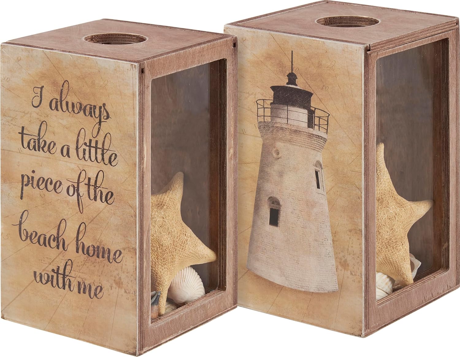 Amazon.com: Primitives by Kathy Shell Holder - Piece Of Beach : Home ...